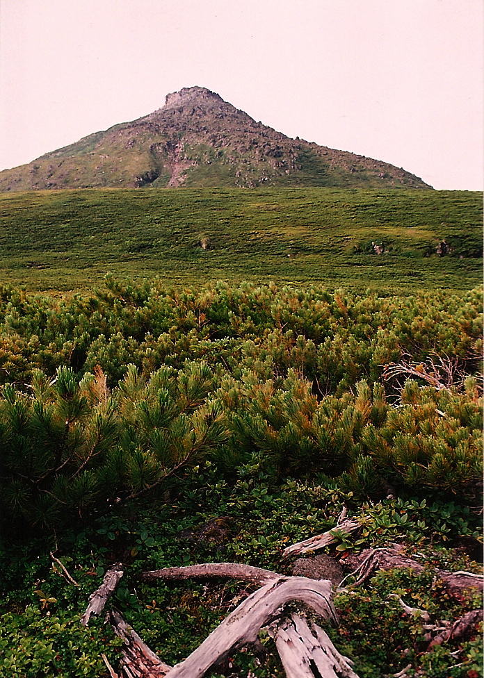 Mt. Rausu (羅臼岳） | Hiking in Japan