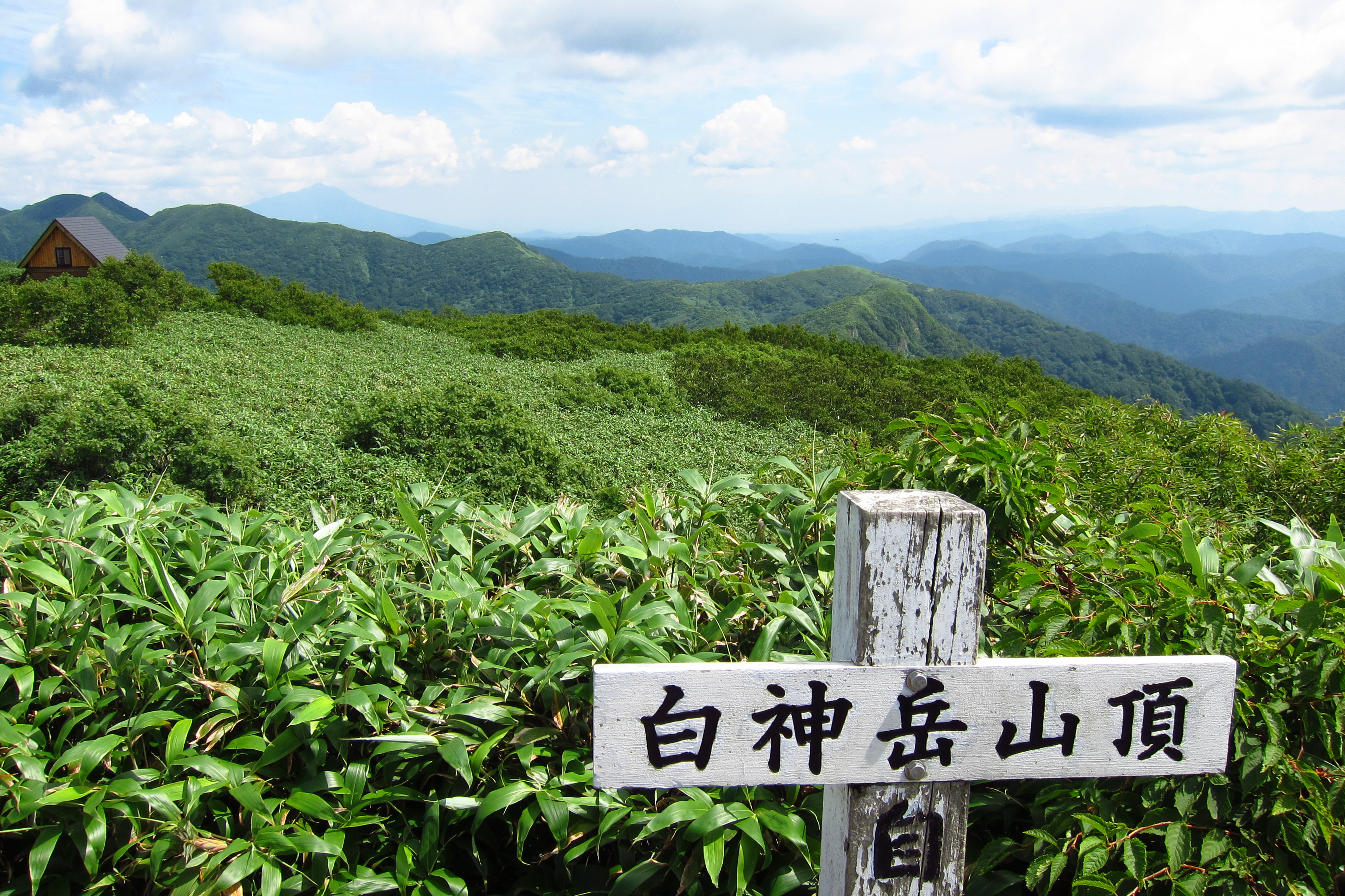 Mt. Shirakami (白神岳) | Hiking in Japan