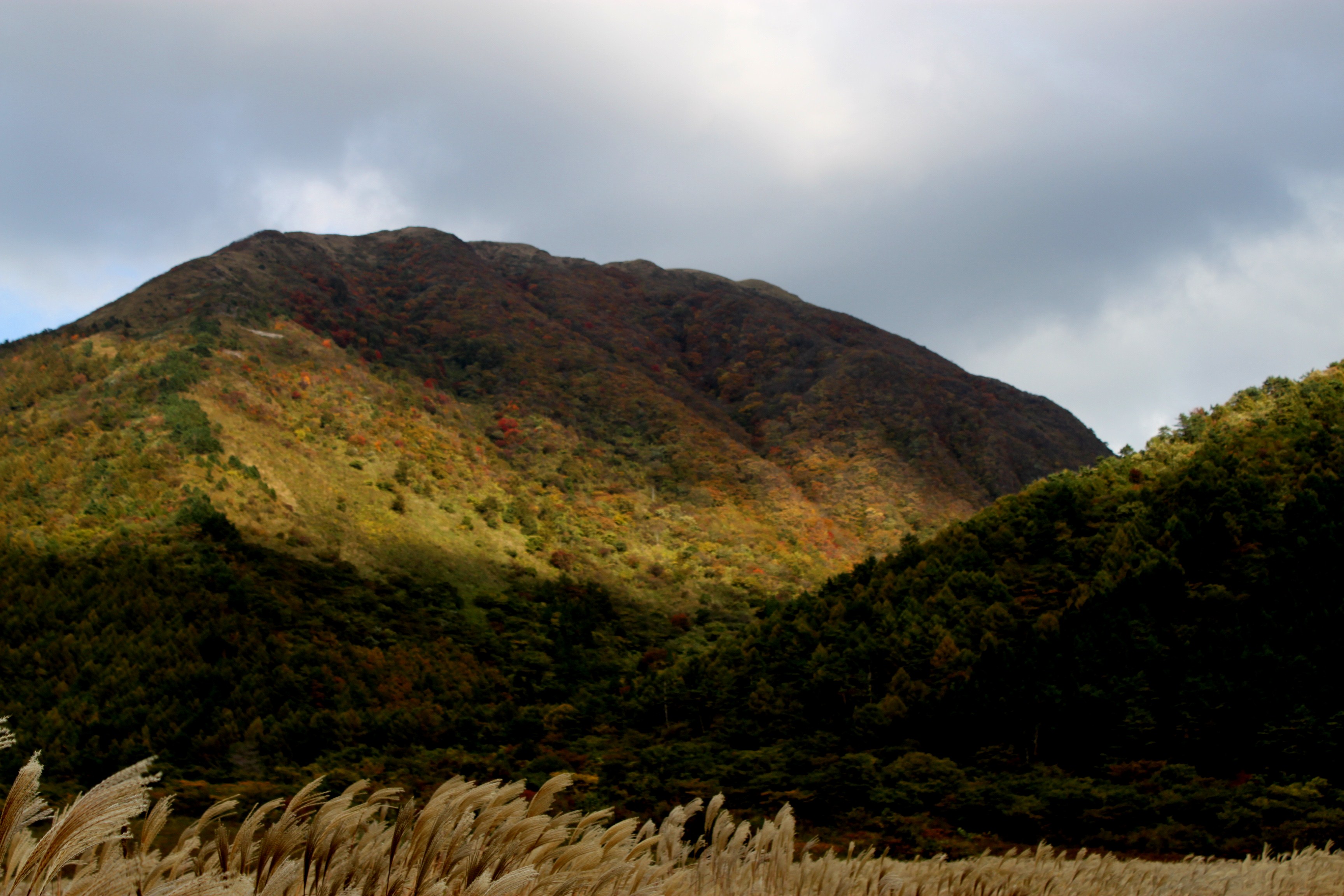 Mt. Sanbe (三瓶山) | Hiking in Japan