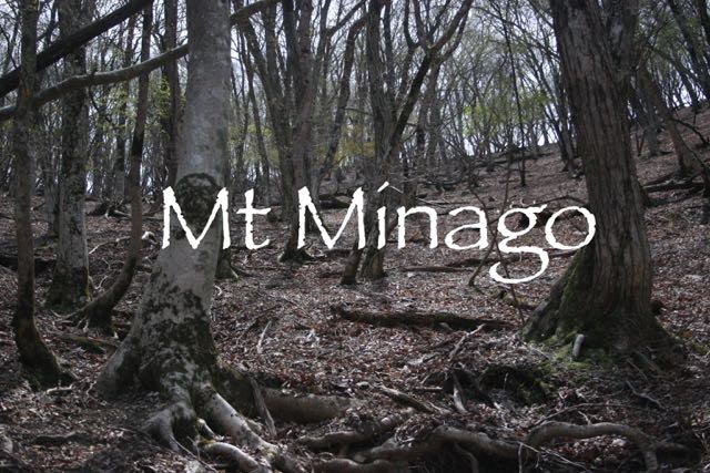 Kansai hikes (関西地方) | Hiking in Japan